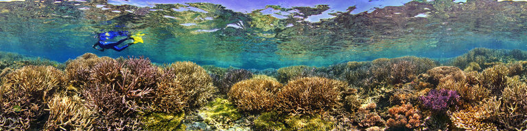 Underwater 360° Panorama Photography Tutorial: Part 1 – Selecting and ...